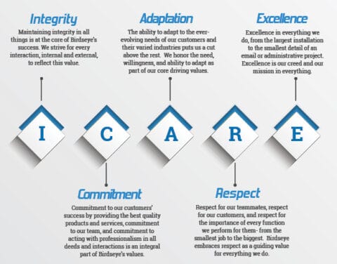 About Birdseye Security Solutions: Leader in Remote Monitoring ...