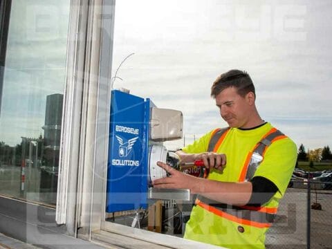 Security Cameras for Yard Protection - Birdseye Security Solutions